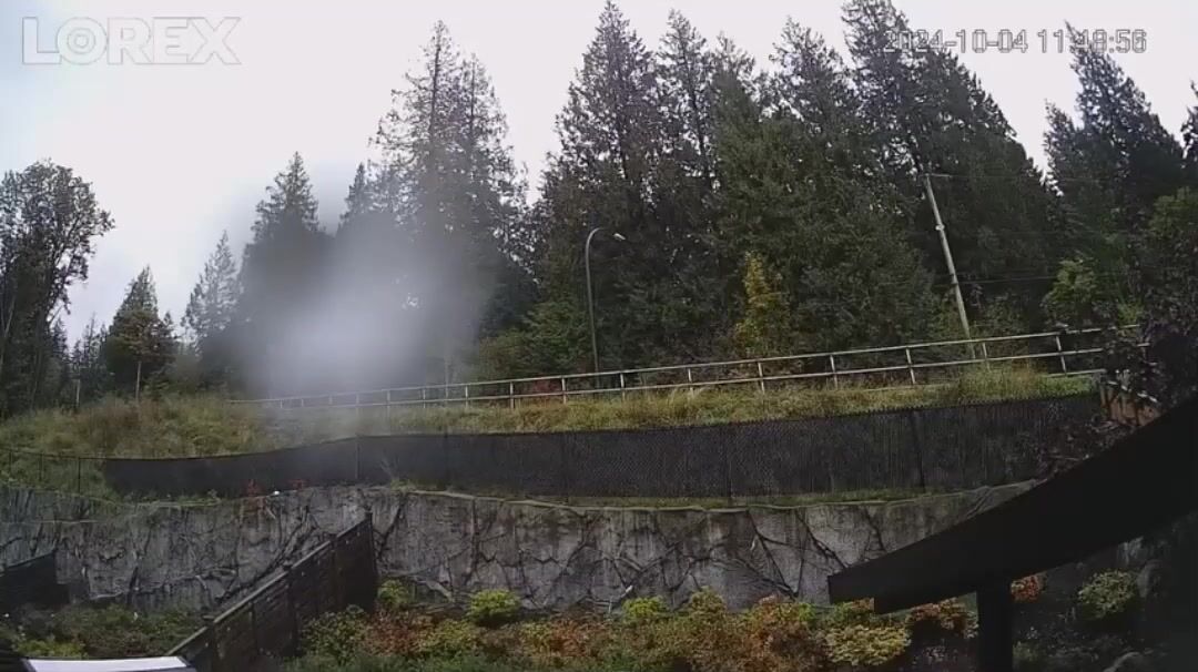 SUV Driver Crashes In Spectacular Style At Maple Ridge