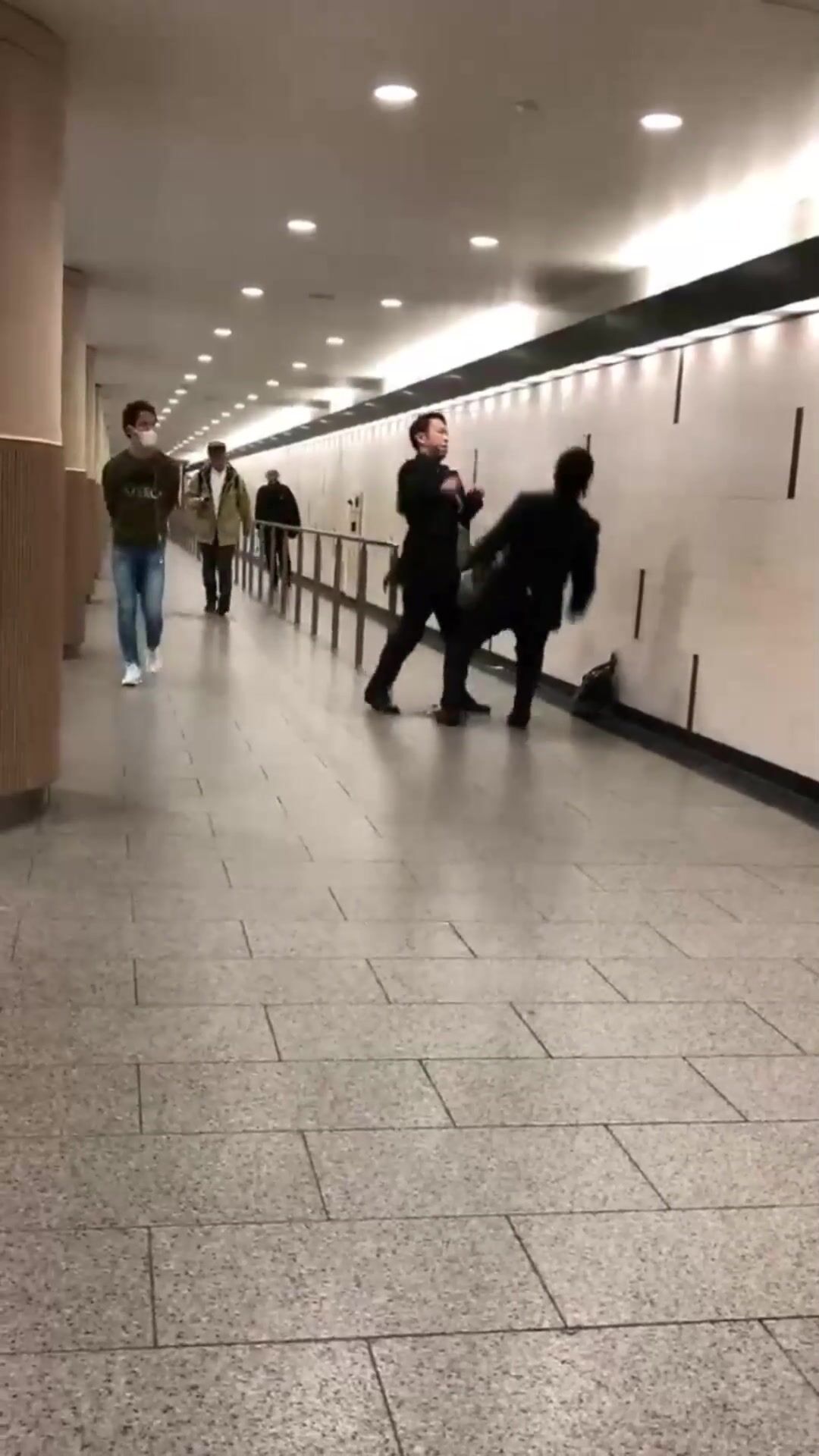 Japanese Fighting Is Quick And To The Point